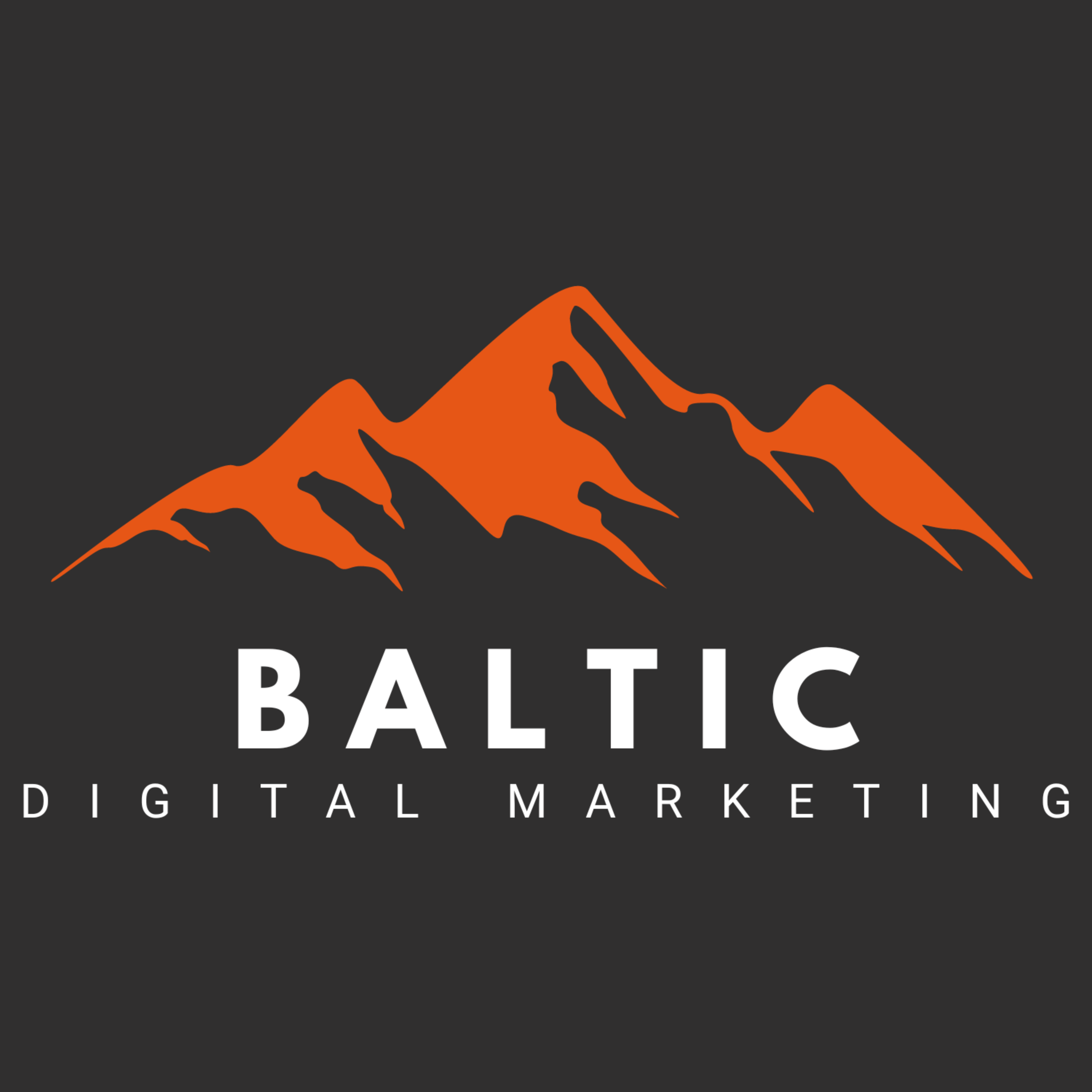 Baltic Digital Marketing How Small Businesses Can Flourish With Digital Marketing Manchester 