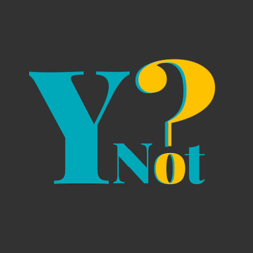 Y?Not | Manchester Digital